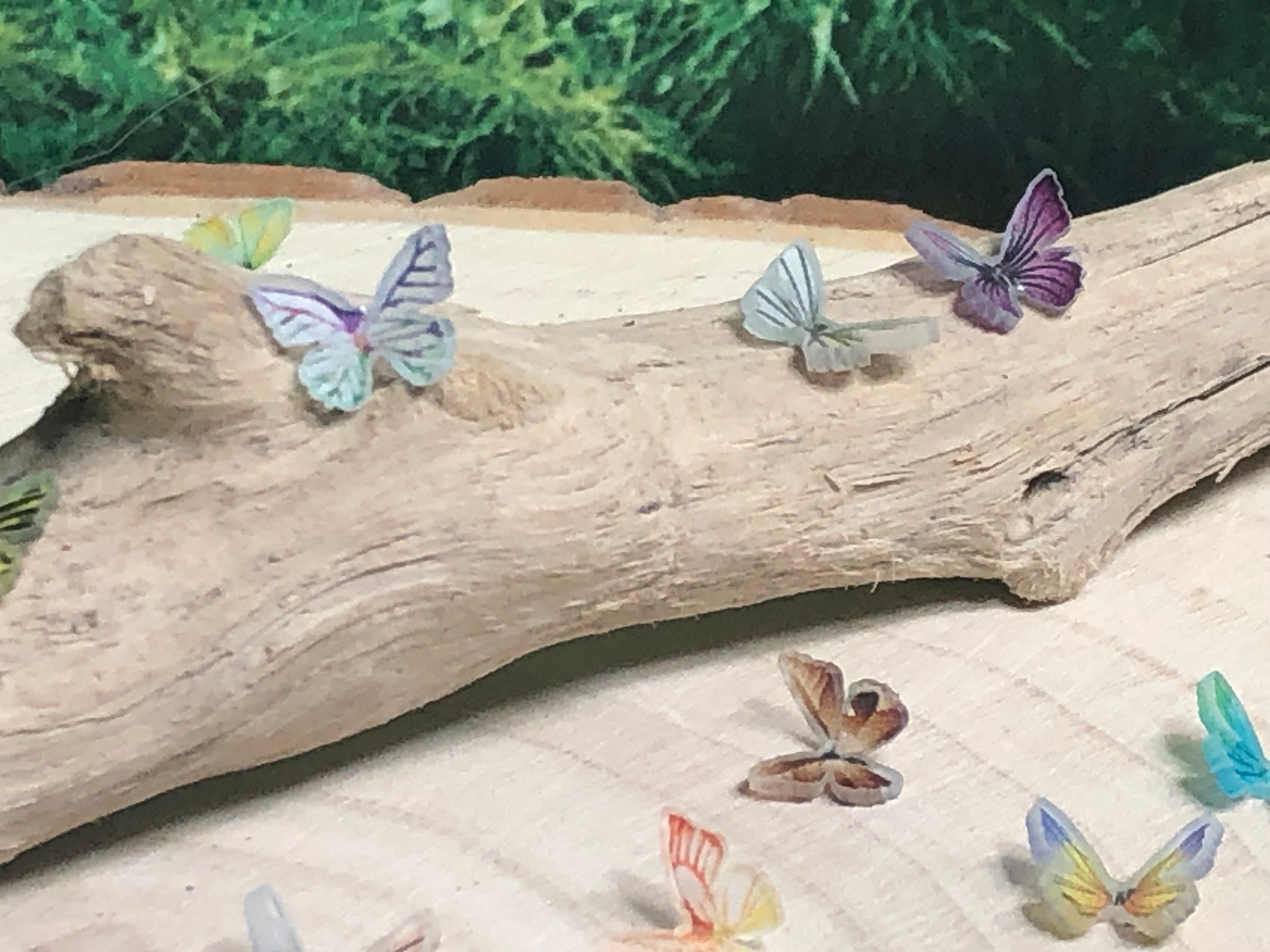 8mm Micro Miniature Butterflies~ Miniature Kawaii Fairy Garden ...