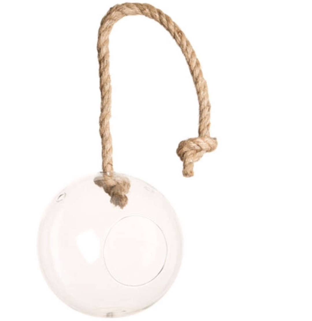 Round Glass Hanging Terrarium W/ Jute Rope Fairy Garden Containers ...