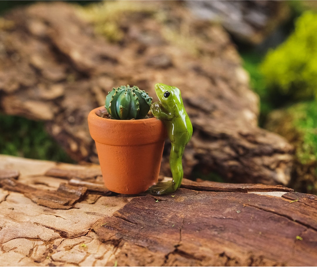 Mini Green Frog Watching Ferocactus Cactus Grow Figurine ~ Southwest ...