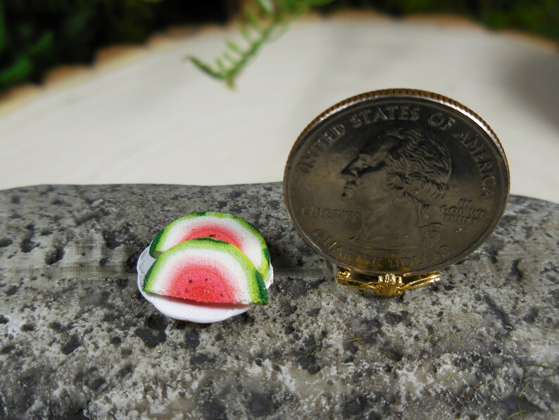 Miniature Realistic Watermelon Slices on Plate ~ Fairy Garden Accessory ...