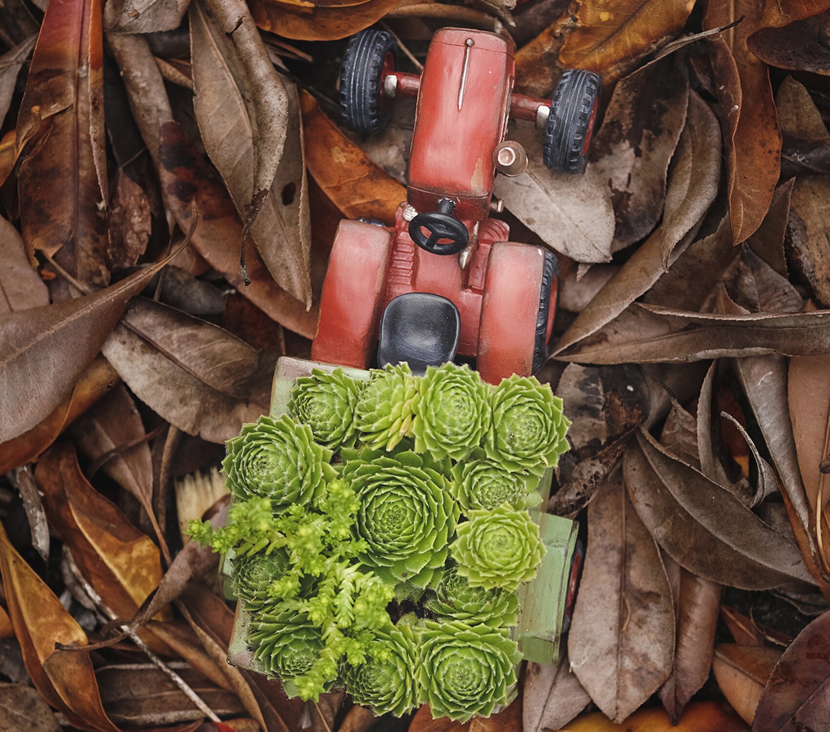 Miniature Red Garden Tractor Planter for Fairy Gardens & Mini - Etsy