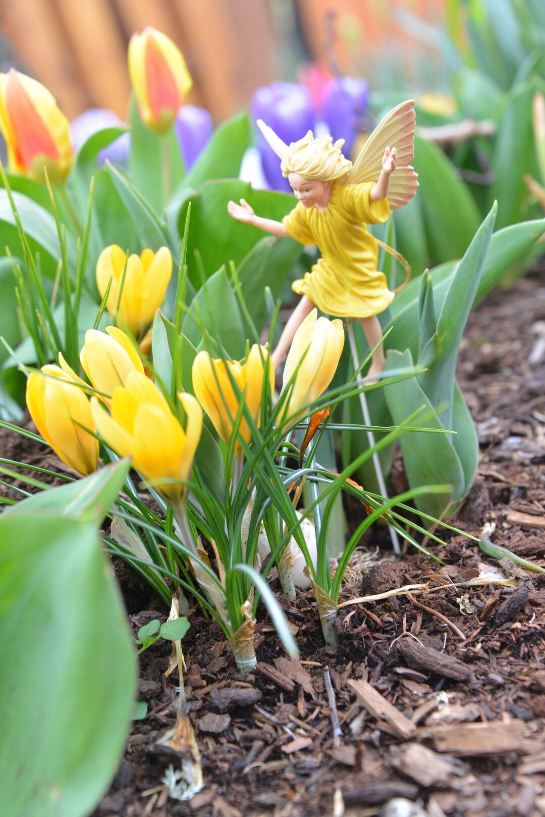NIB Retired Crocus Fairy Girl Figurine, SERIES XIX ~ Cicely Mary Barker ...
