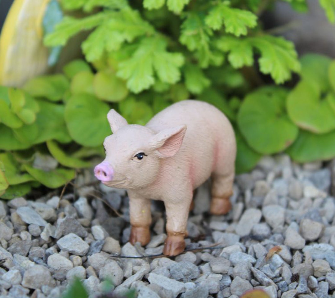 BACON the Barnyard Pig ~ Miniature Farm House Animal Figurines ~ Fairy ...