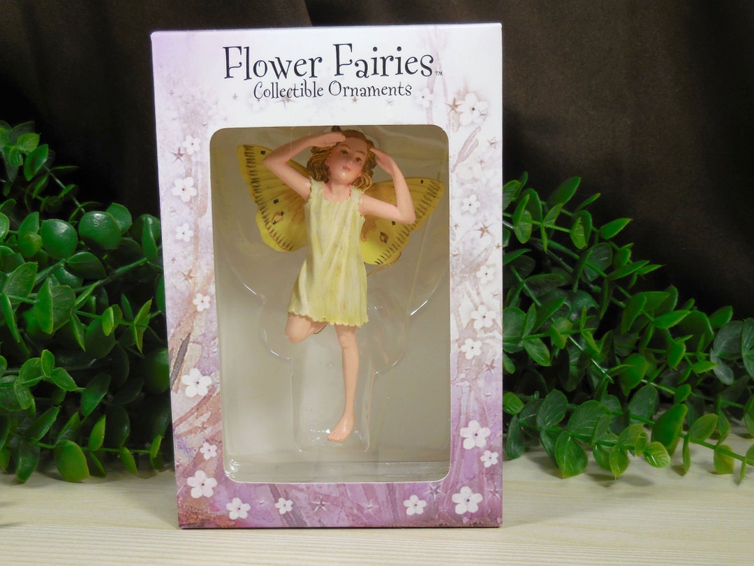 Elder Flower Fairy Figurine, Purple Box, Collectible Ornaments ~ Cicely ...
