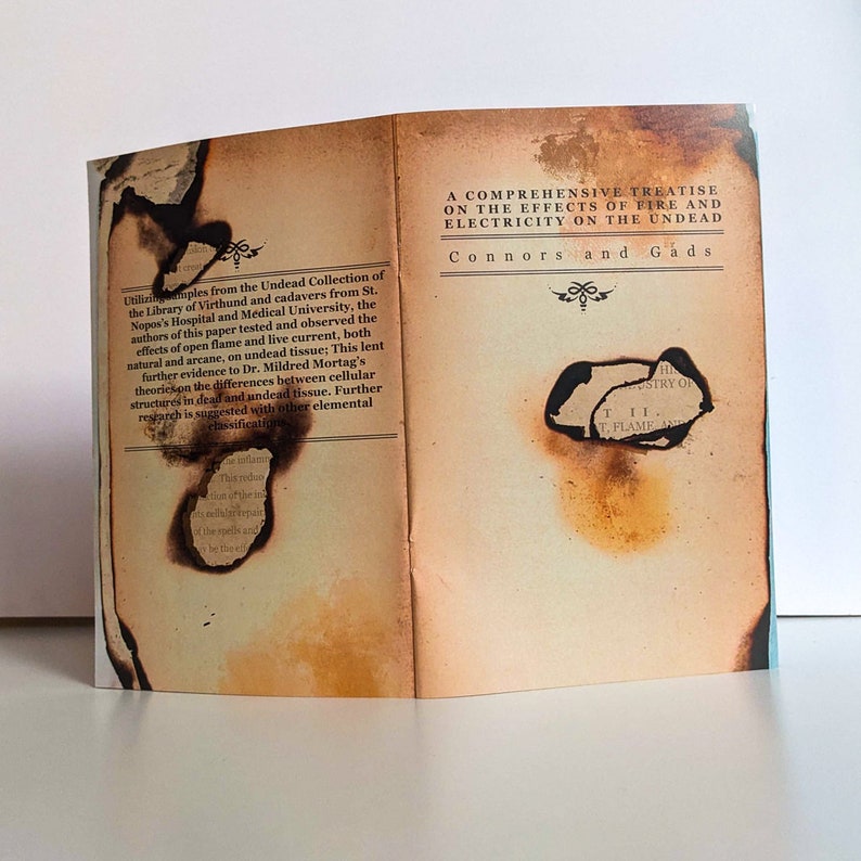 Wizard's Shelf Zine - TTRPG Fiction, Rpg, Fantasy Books - Etsy
