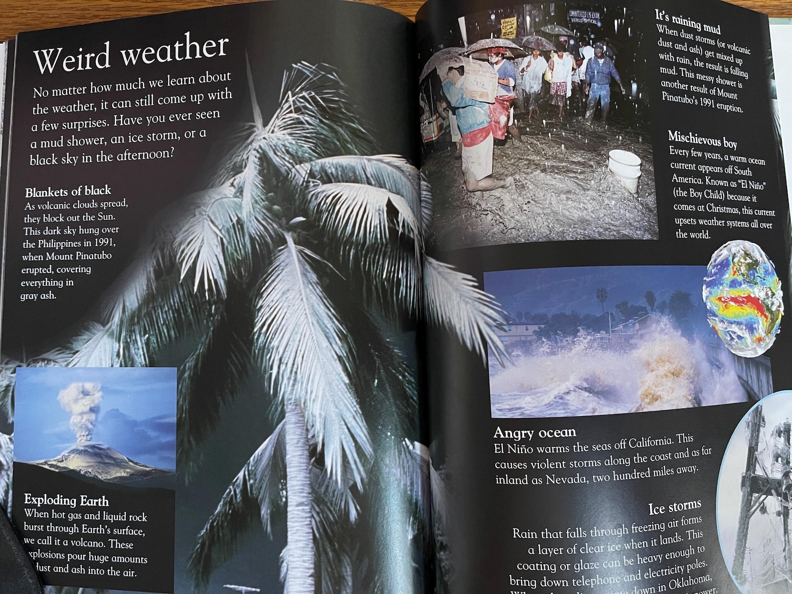 Vintage DK Eye Wonder Weather Book-children's Science/1st American ...