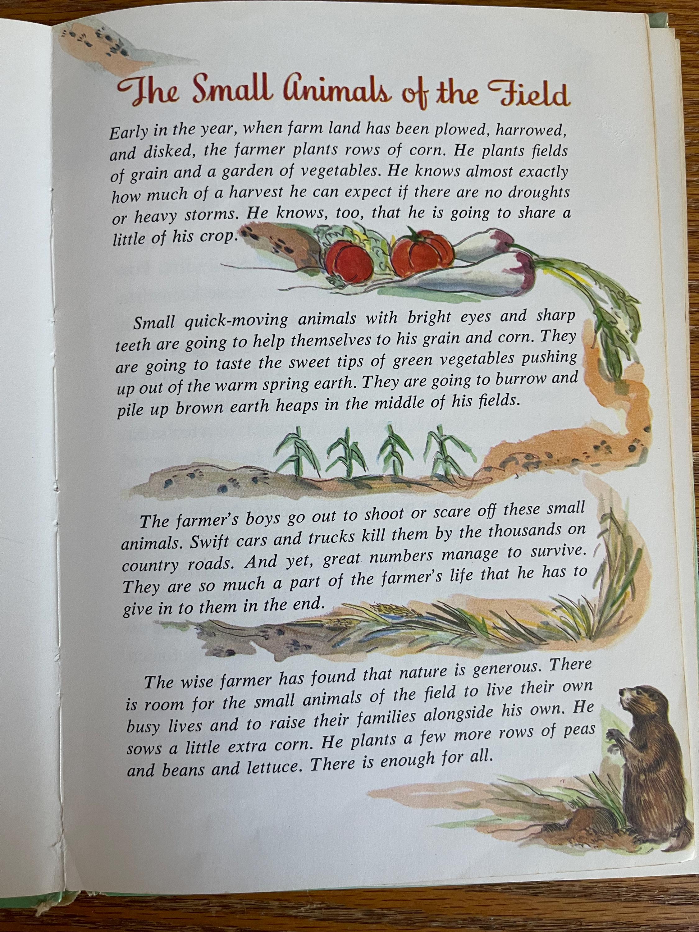 Vintage Animals of the Field and Forest/1961 Whitman Learn About Book ...