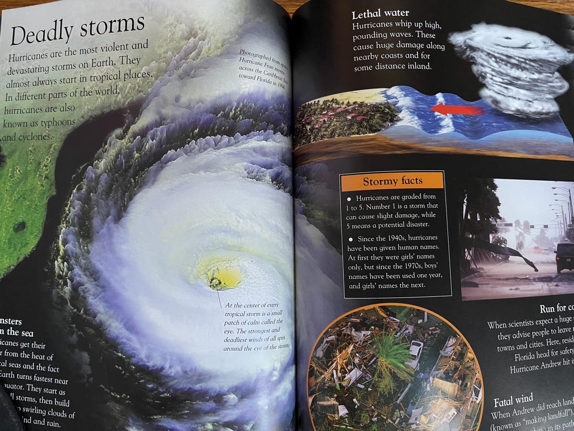 Vintage DK Eye Wonder Weather Book-children's Science/1st American ...
