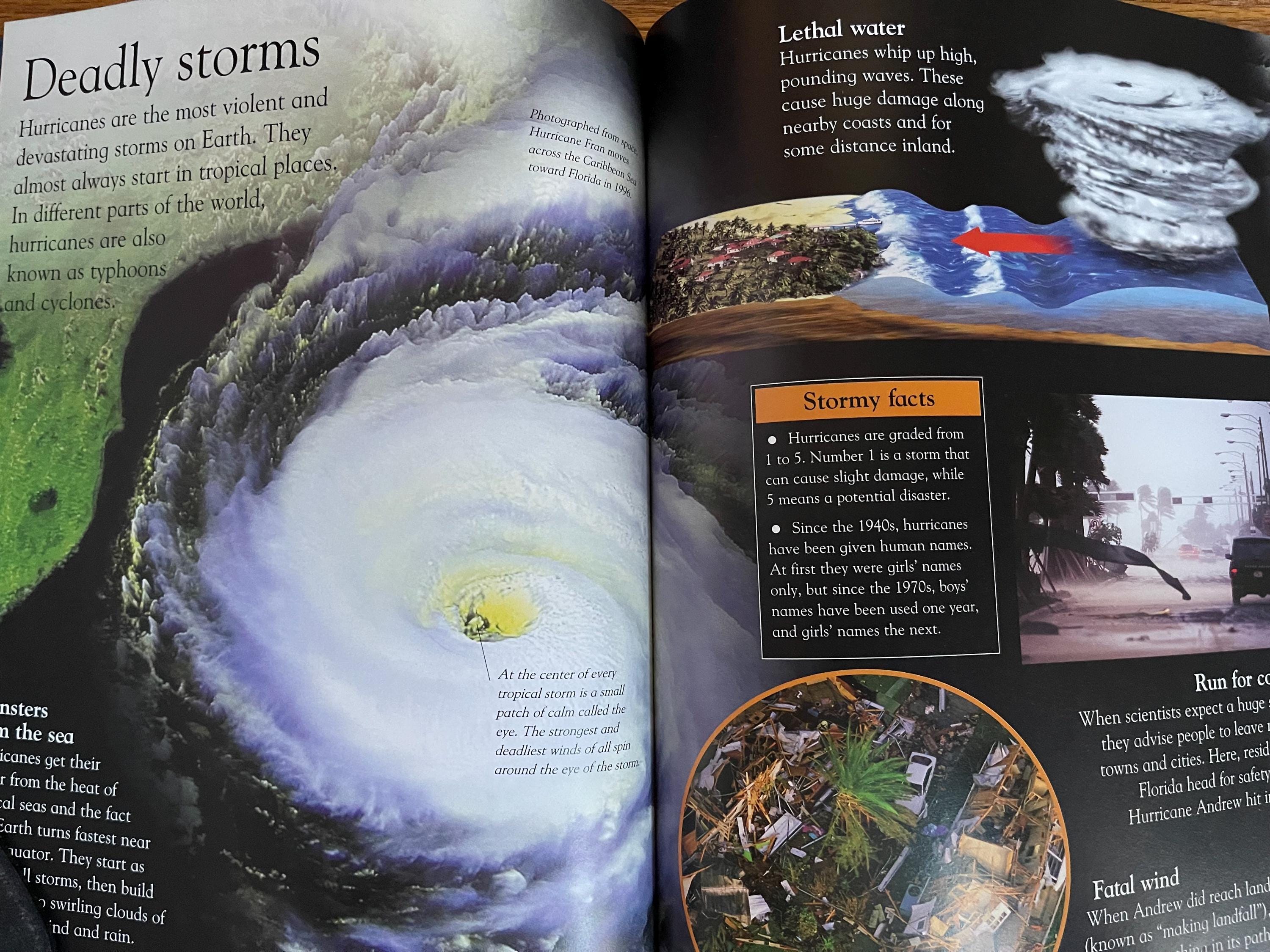 Vintage DK Eye Wonder Weather Book-children's Science/1st American ...