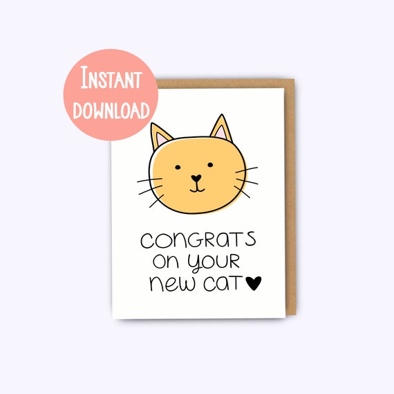 Congratulations Kitten