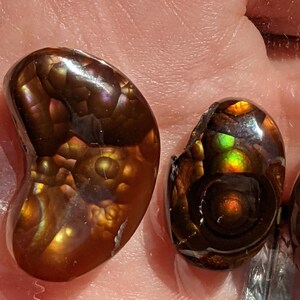 Fire Agate Cabochon, A Grade - Luminescent Galore! Botryoidal Fire ...