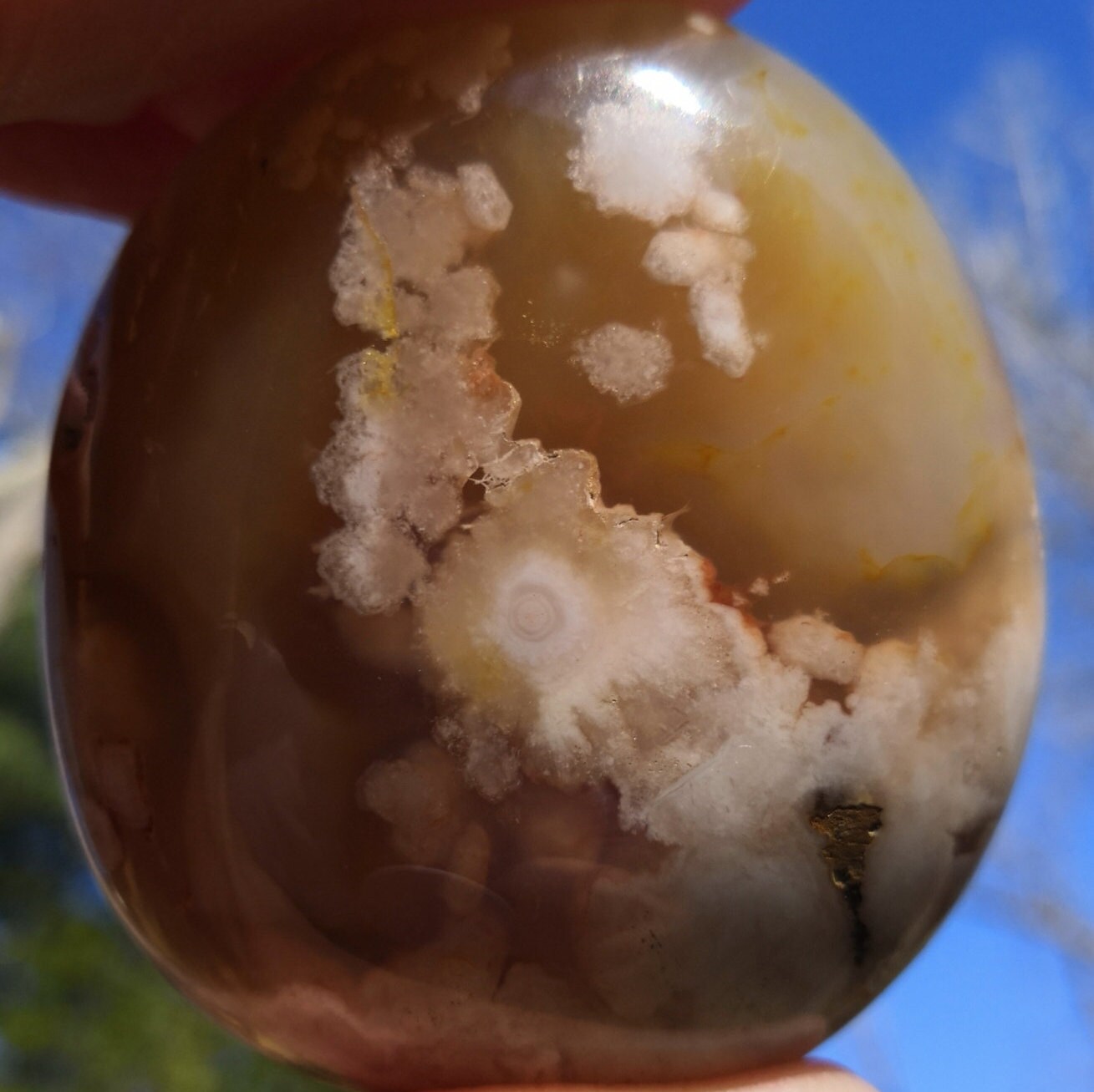 Flower Agate Palm Stone With Druzy Agate Palmstone | Etsy