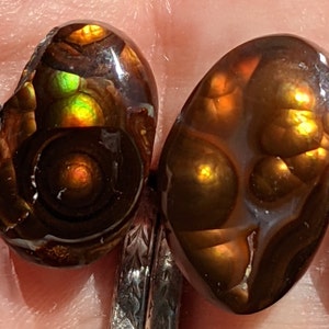 Fire Agate Cabochon, A Grade - Luminescent Galore! Botryoidal Fire ...