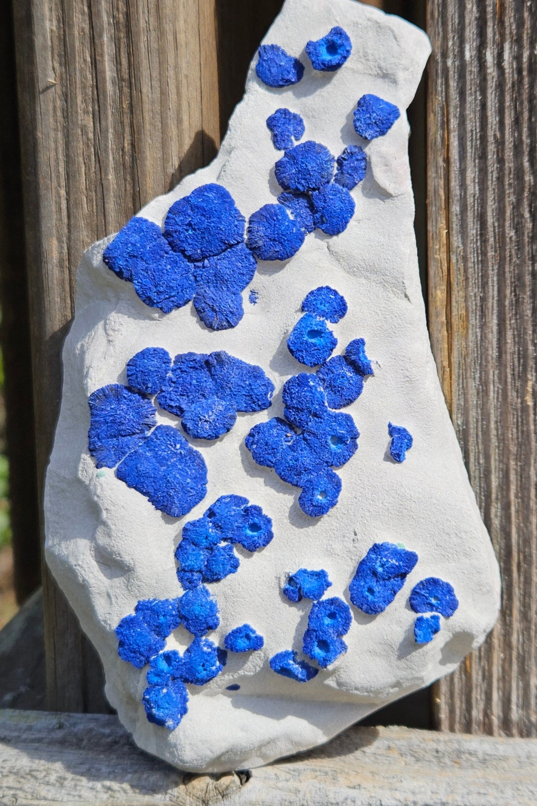AZURITE BLUEBERRY on Kaolinite - Australia, Azurite SUNS on Kaolinite ...