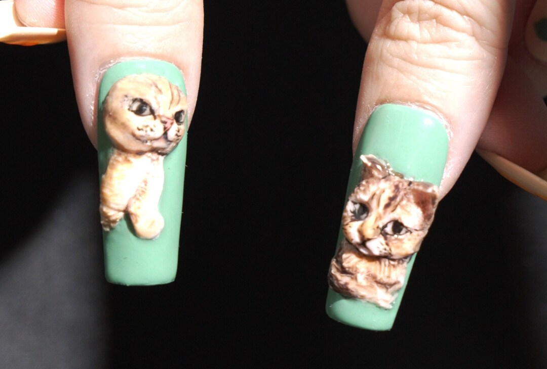 Cat Talking Meme Nails 3D Sculpted Cat Meme Press-on Nails - Etsy