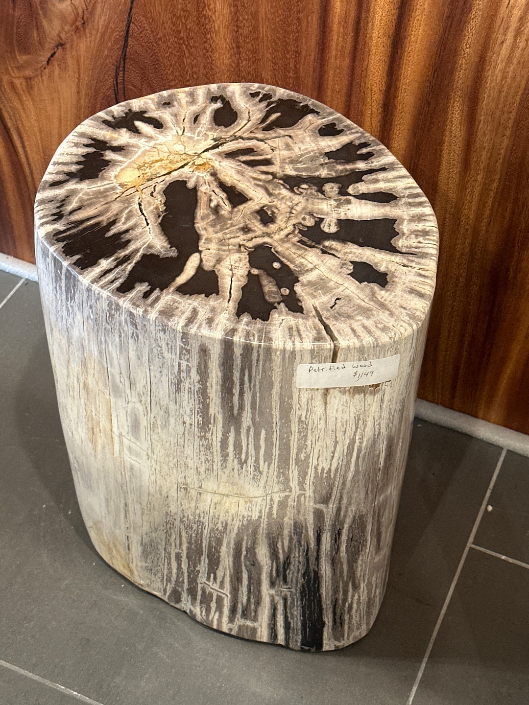 Black and White Petrified Stump - Etsy