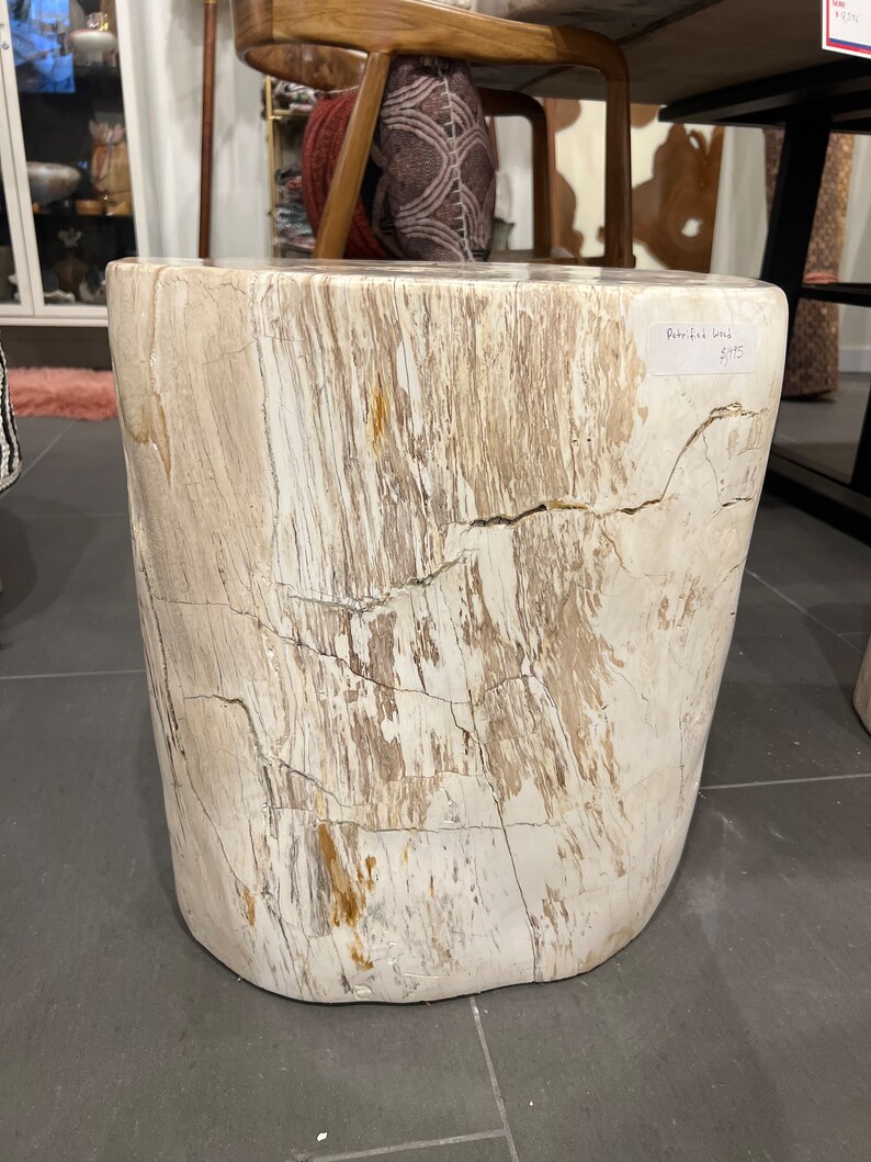 Petrified Wood Stump - Etsy