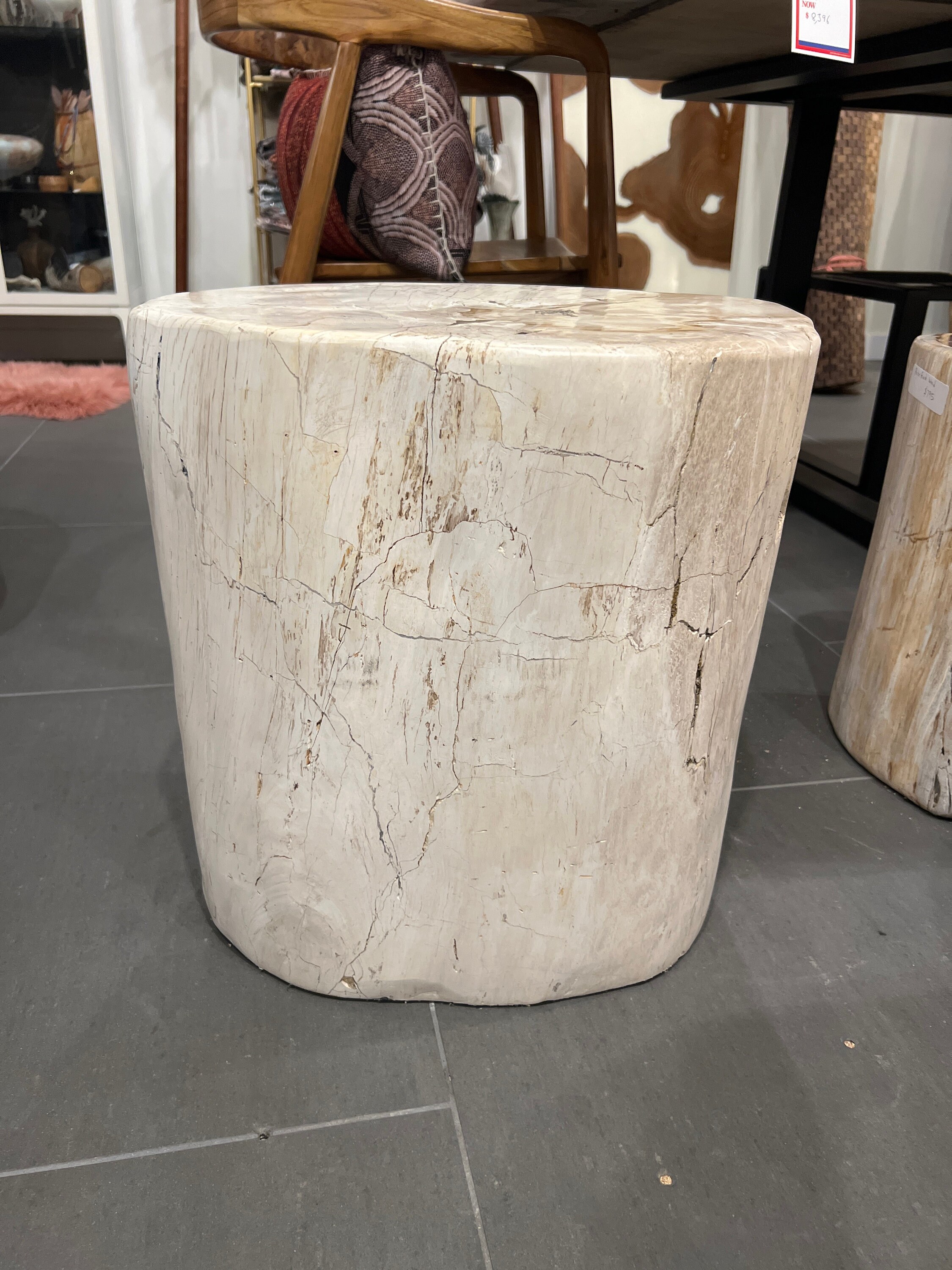 Petrified Wood Stump - Etsy