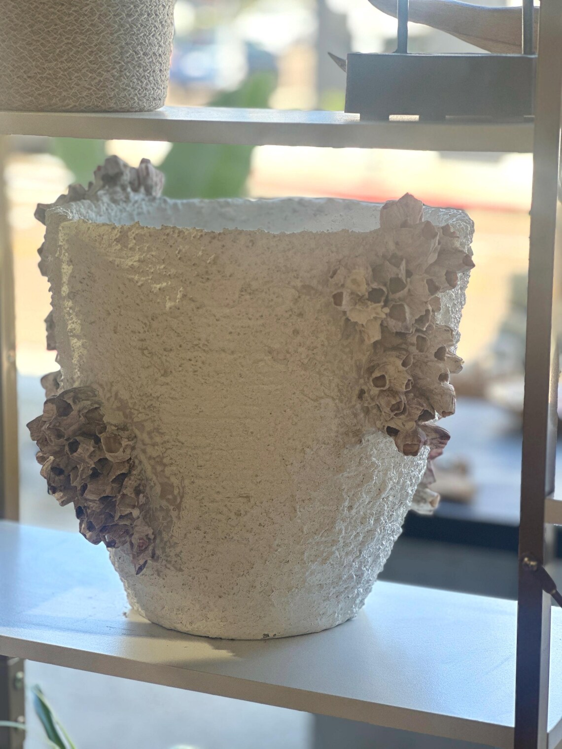 12” X 12.5” Barnical Pot/ Planter - Etsy