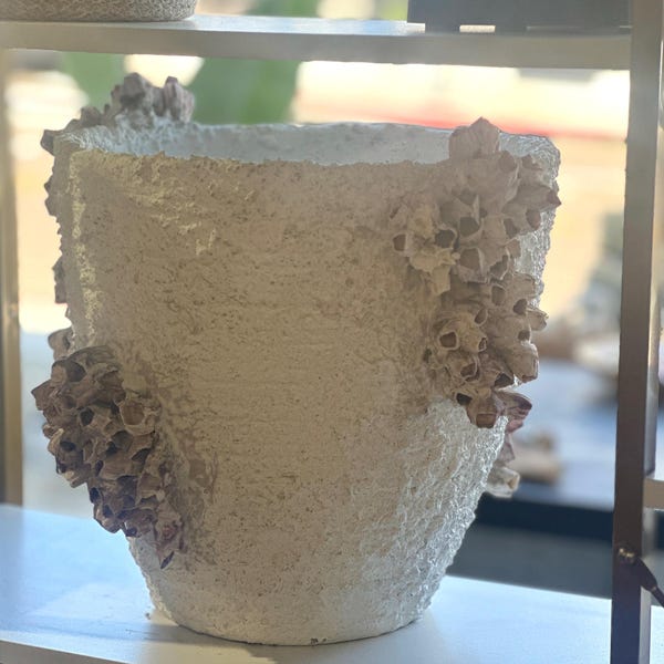 Barnacle Planter Pots - Etsy