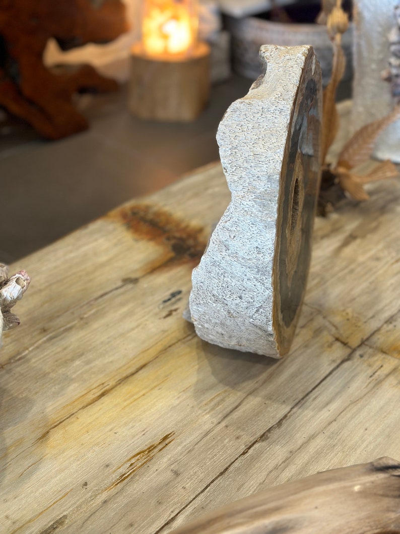 Petrified Palm Tree Sculpture: Natural Standing Art Piece - Etsy