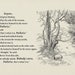 The Old Grey Donkey, Eeyore Winnie the Pooh Quotes Horizontal Classic ...