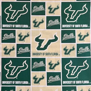 usf party school