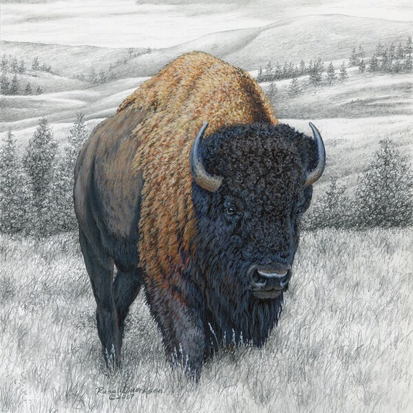 Bison Quilt Panels - Etsy