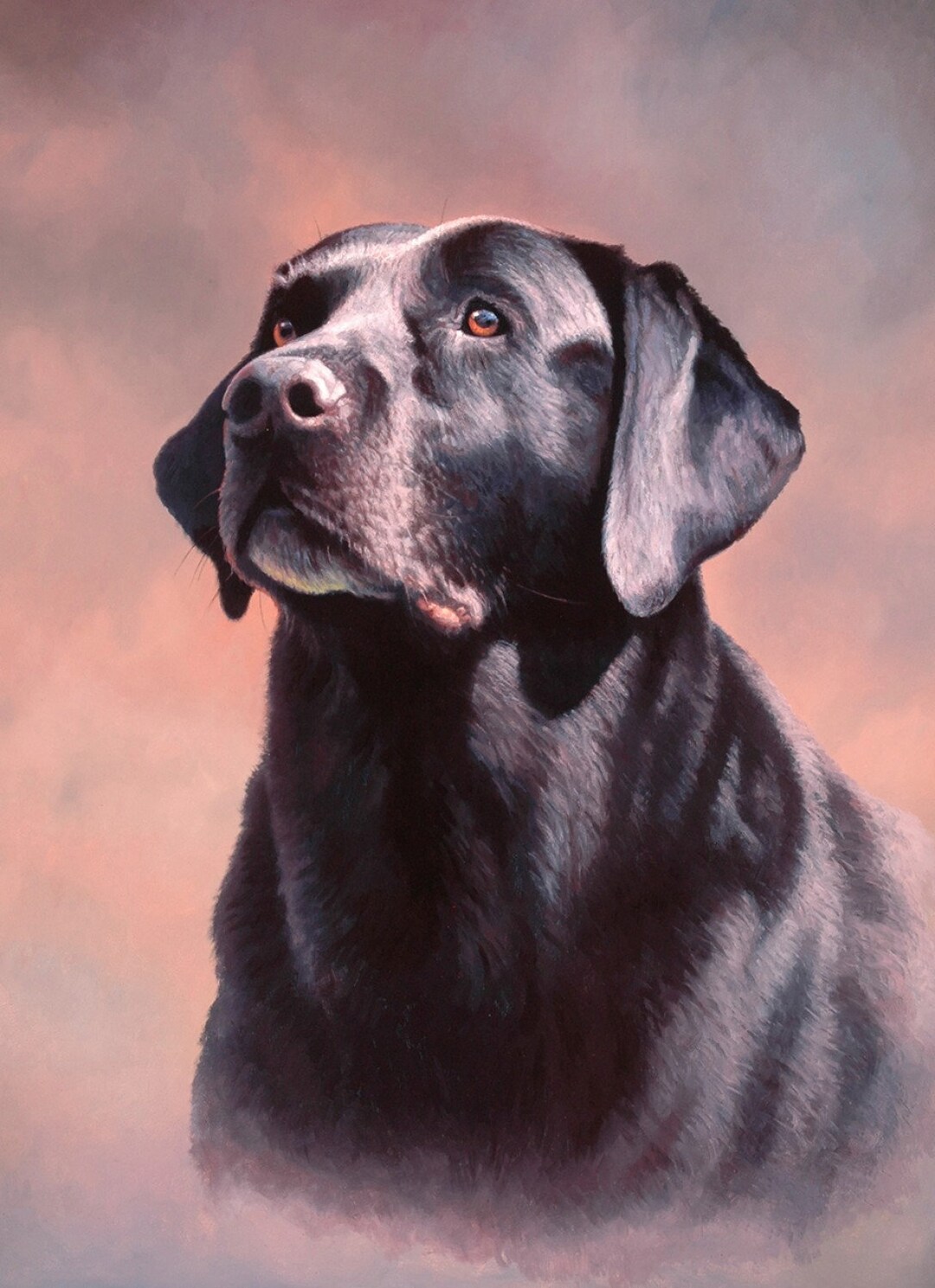 New Large DOGS BLACK LAB Labrador Retrievers on This 100% Cotton Panel ...
