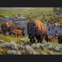 Bison - Etsy