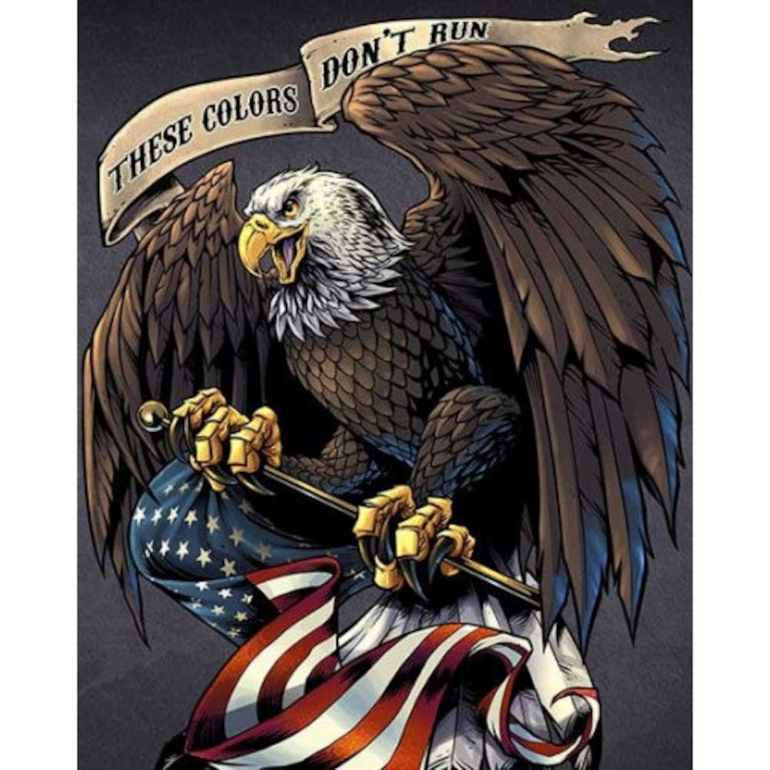 New Large AMERICAN BALD EAGLE With Flag These Colors Don't Run on 100% ...