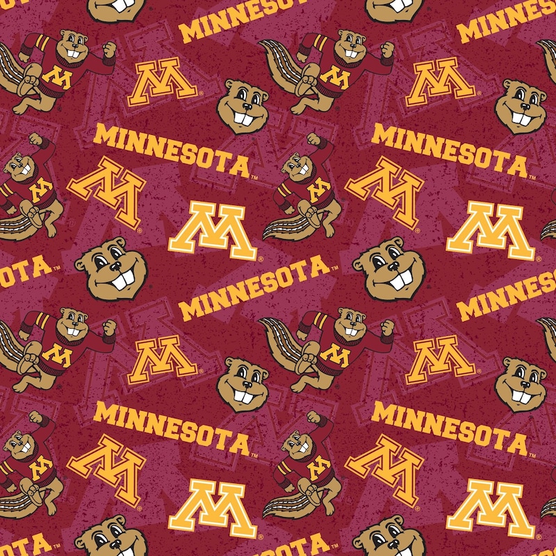 State of Minnesota Doll - Etsy