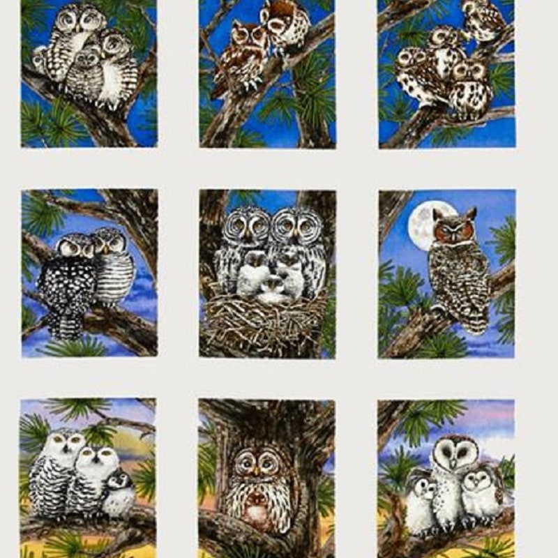 Owl Quilt Panels - Etsy