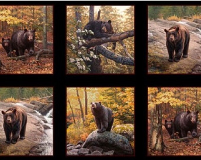 New GRIZZLY BEAR Brown Bear Black Bear 100% Cotton 6 Panels for Quilts ...