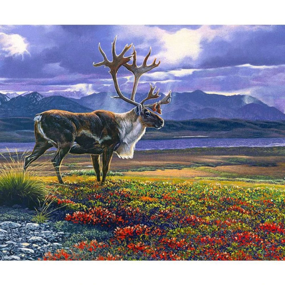 New Large CARIBOU in Field of FLOWERS Buck Antlers Doe Nature's Finest ...