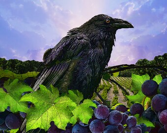 Harvest Raven - Etsy