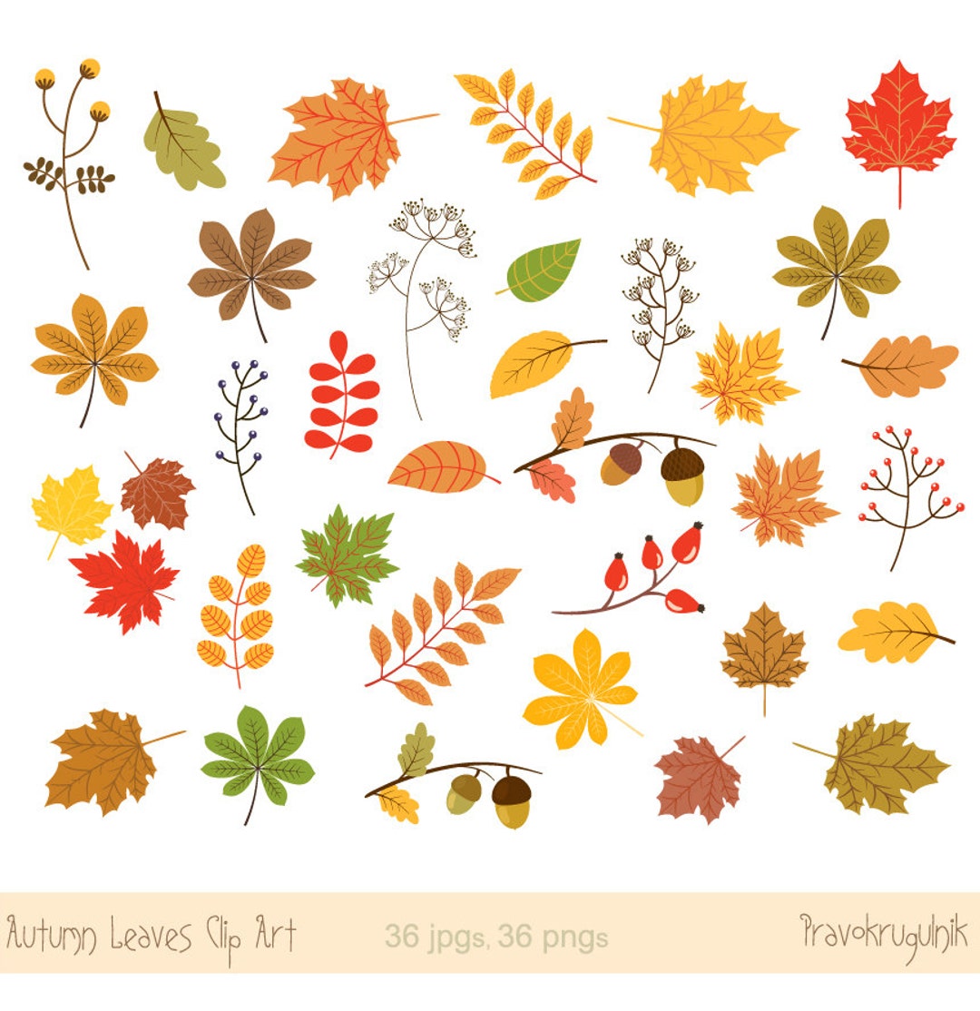 Autumn Leaf Clip Art, Fall Leaf Clipart, Fall Foliage Clip Art, Autumn ...