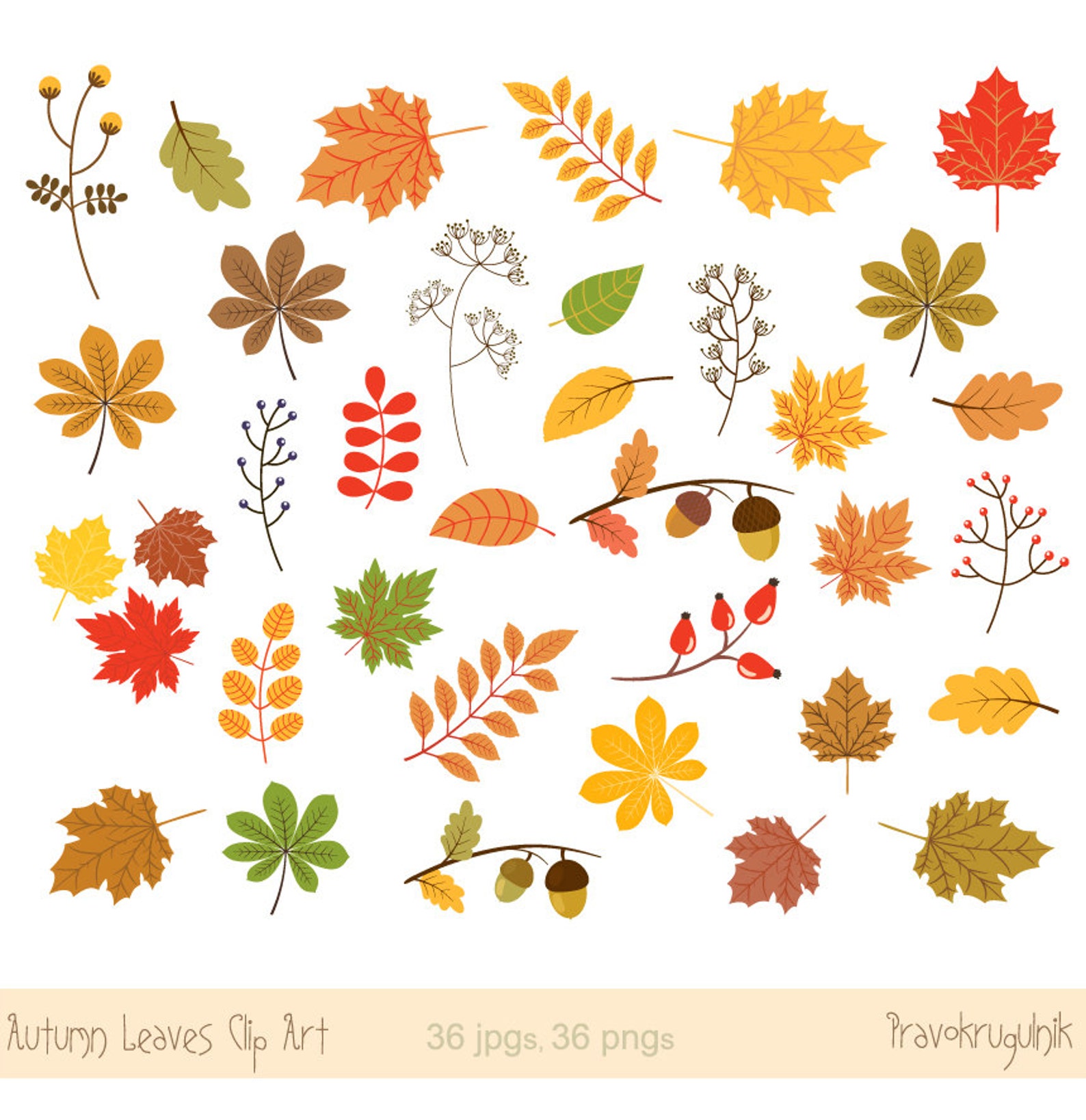 Autumn Leaf Clip Art, Fall Leaf Clipart, Fall Foliage Clip Art, Autumn ...