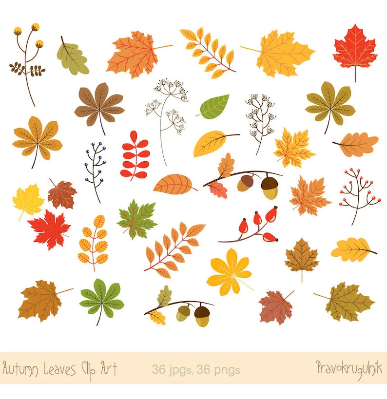 Autumn Leaf Clip Art, Fall Leaf Clipart, Fall Foliage Clip Art, Autumn ...