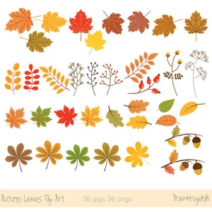 Autumn Leaf Clip Art, Fall Leaf Clipart, Fall Foliage Clip Art, Autumn ...