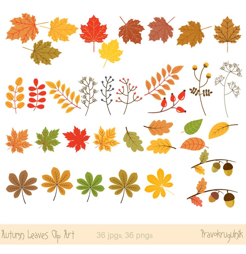 Autumn Leaf Clip Art, Fall Leaf Clipart, Fall Foliage Clip Art, Autumn ...