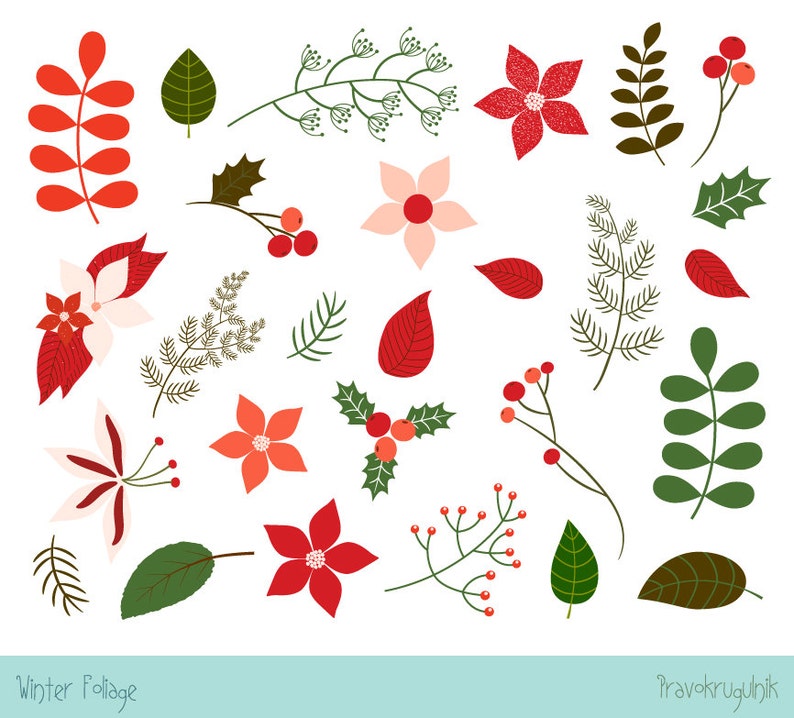 Christmas Foliage Clipart, Christmas Flower Clipart, Card Making ...