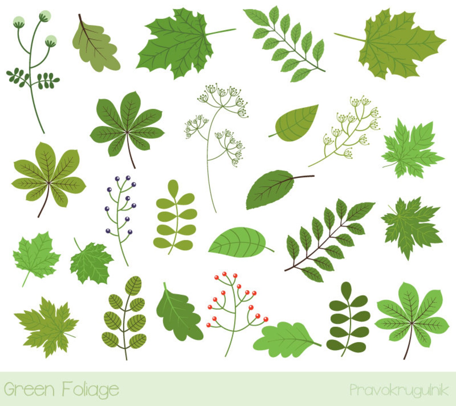 Green Leaf Clipart, Green Foliage Clipart, Spring Leaf Clipart, Oak ...