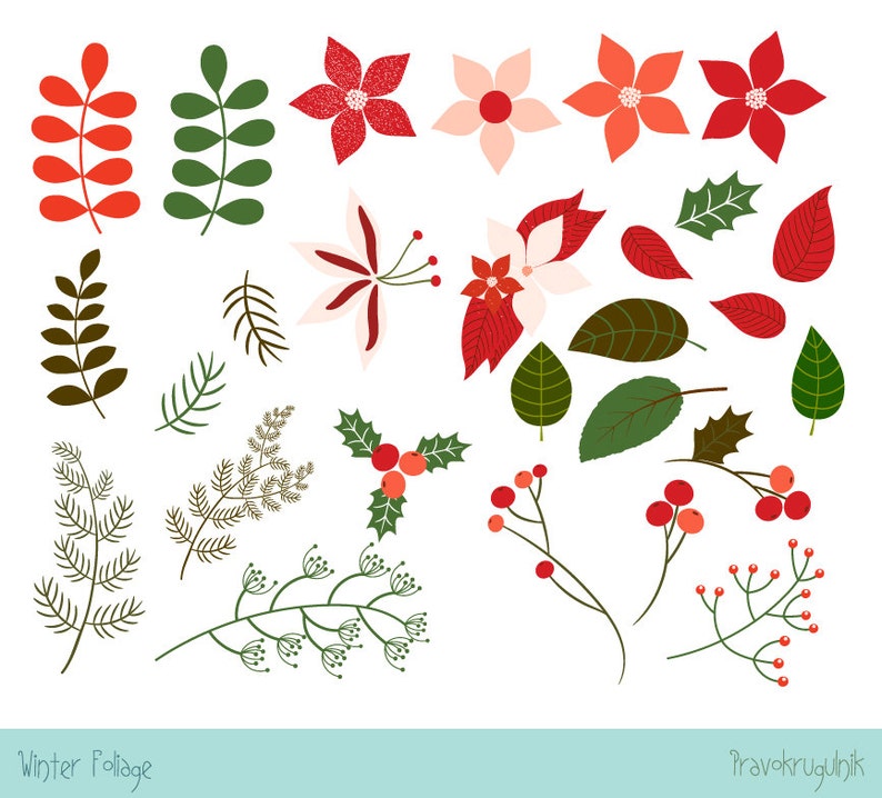 Christmas Foliage Clipart, Christmas Flower Clipart, Card Making ...