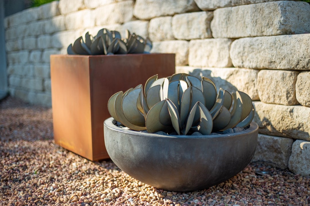 Topsy Turvy Steel Succulent Sculpture: Desert Landscaping Yard Art - Etsy