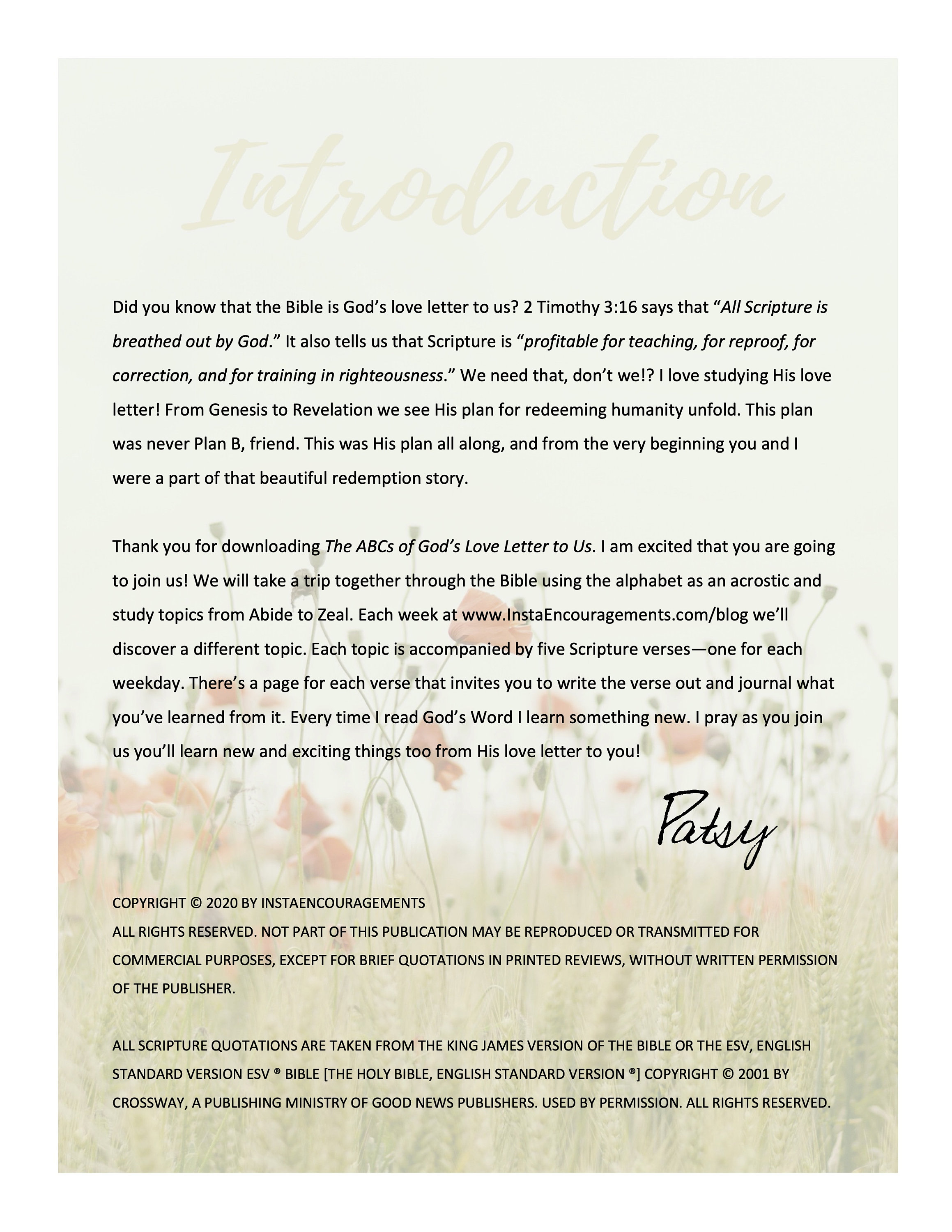 The Abcs of God's Love Letter Bible Study Ebook PDF | Etsy