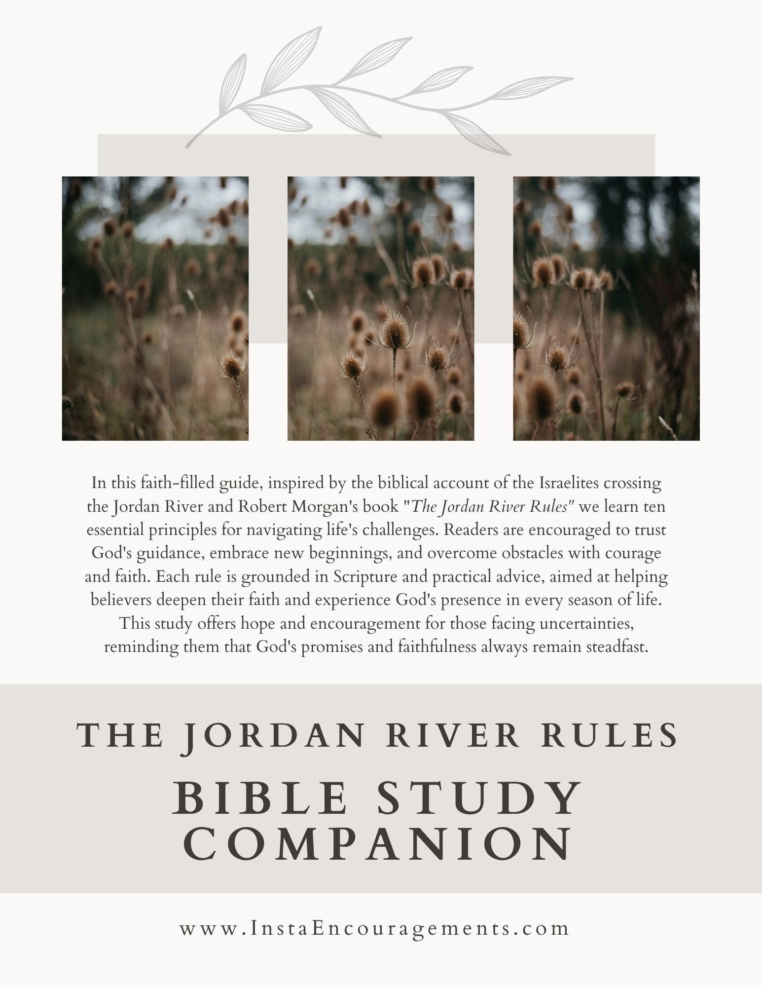 The Jordan River Rules Bible Study Companion Guide PDF Download ...