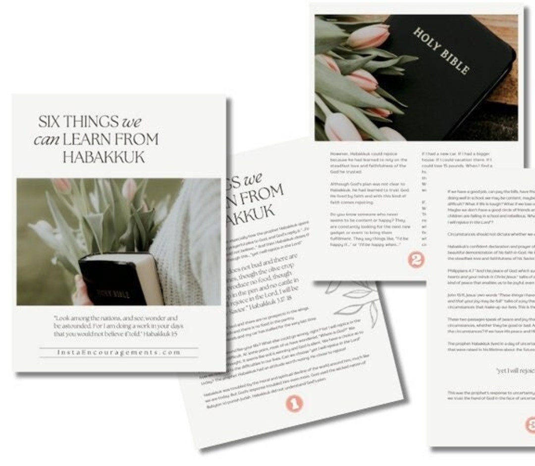 6 Things We Can Learn From Habakkuk Bible Study Guide PDF Download ...