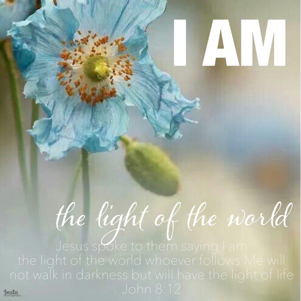 I AM Banner Kit 5x5 Prints - Etsy