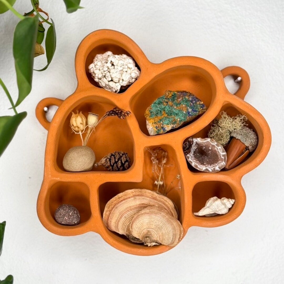 Nature Shelf cement Shelf of Inspiration No. 3 in Terracotta: Curio ...